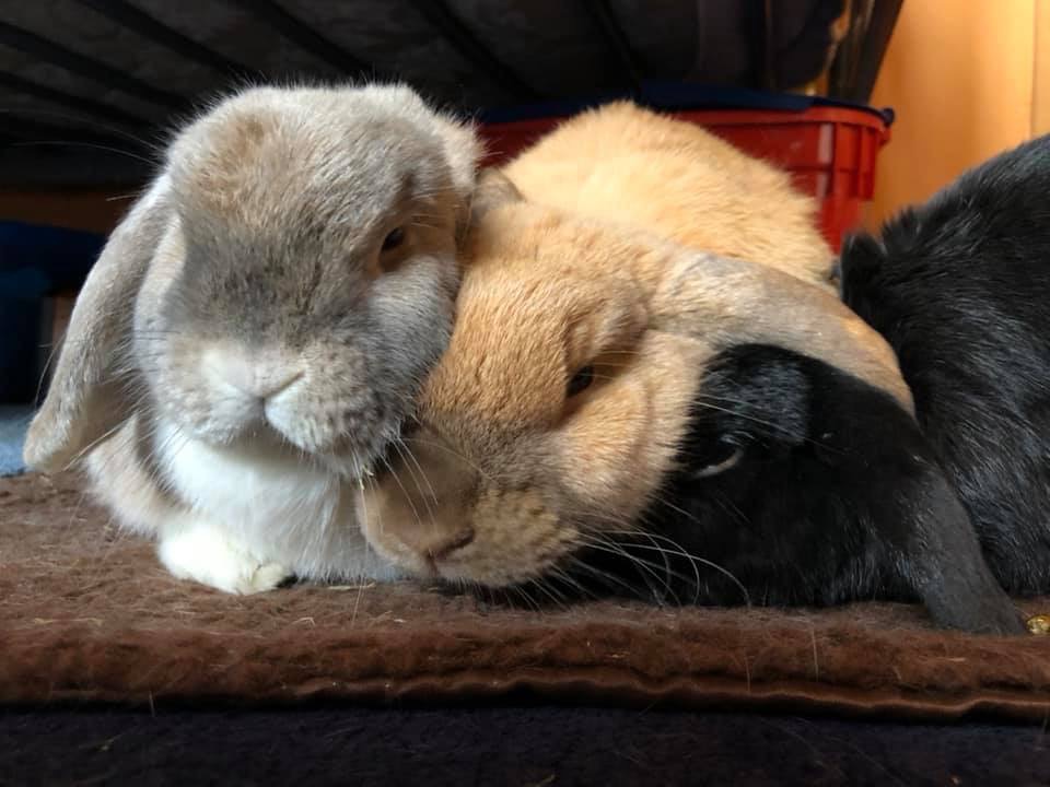 All courses | Learn with us